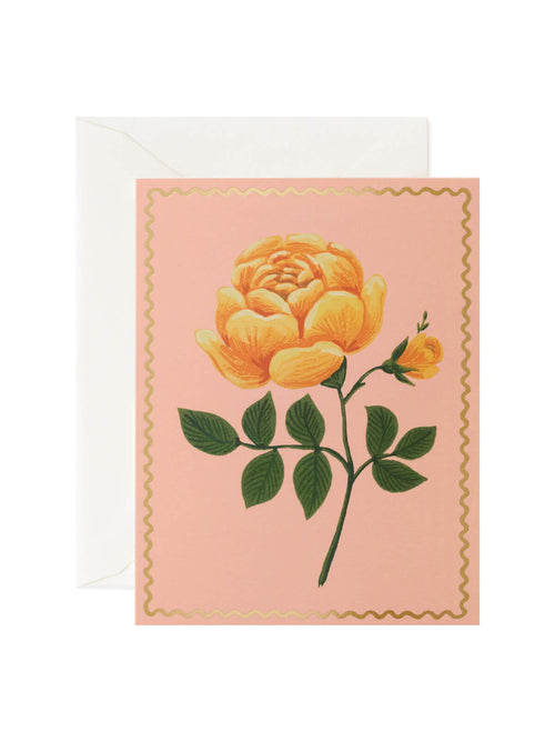 Rifle Paper Company | Shop Rifle Paper Co cards – Papermash