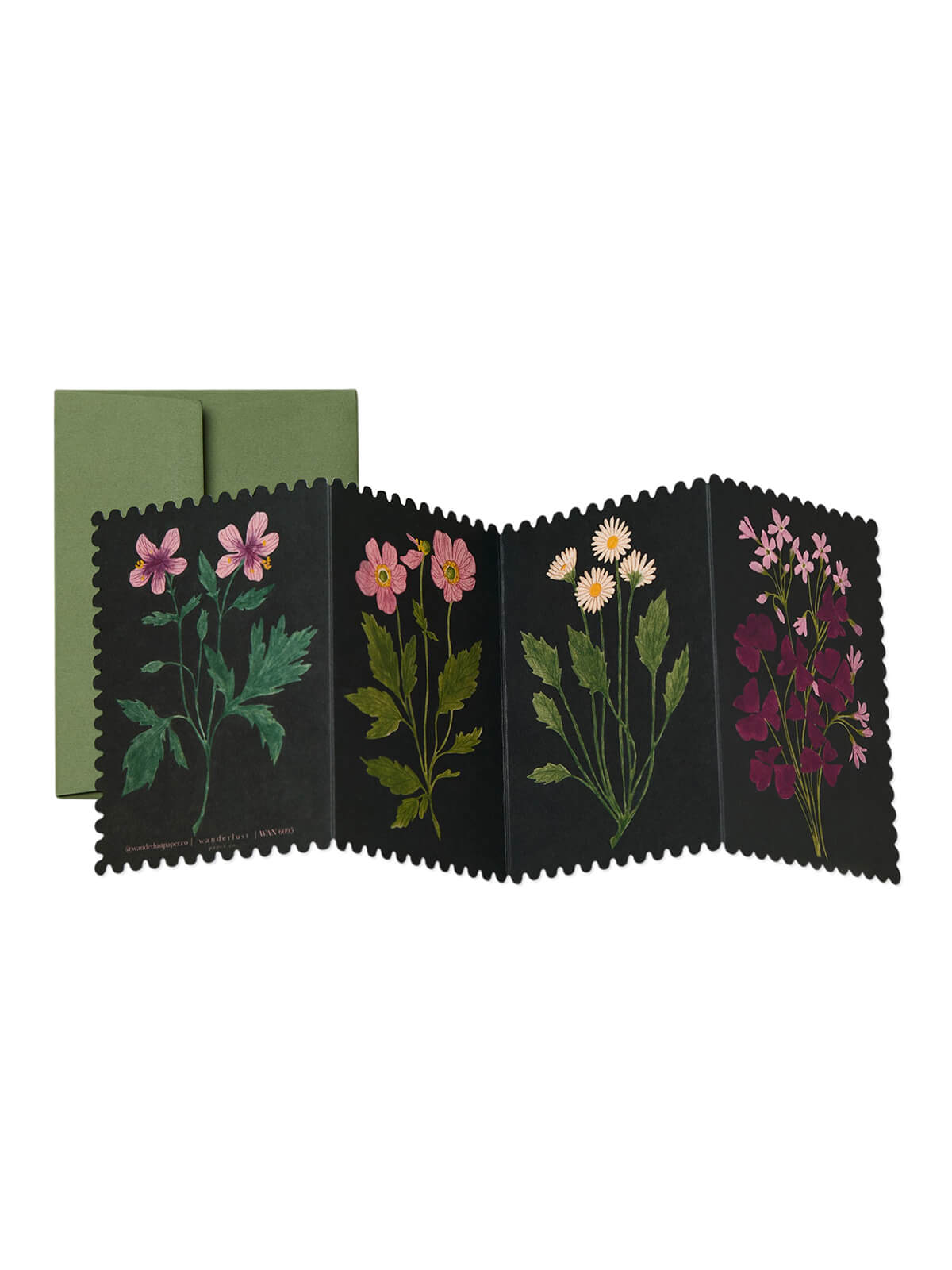 Wanderlust Paper Co botanical concertina card | Papermash UK